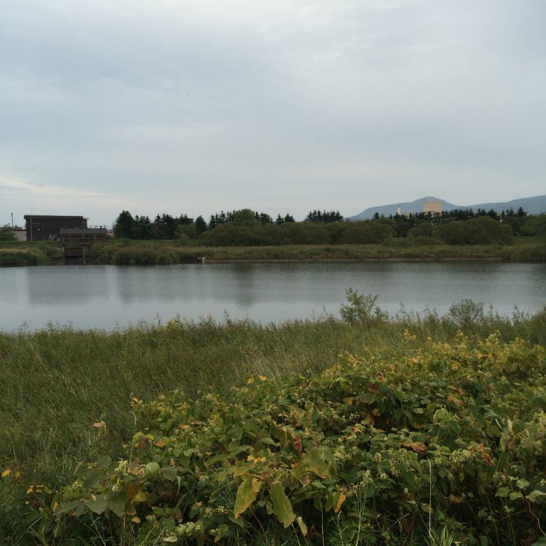 yoichi-river-seen-from-side - ウイスキーノート